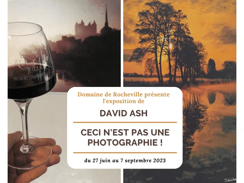 Exposition de peinture David Ash | Domaine de Rocheville